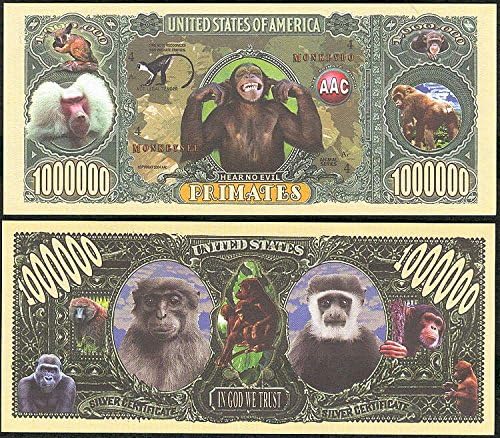 Amazon.com: American Art Classics Set of 5 - Monkey Million Dollar Bill ...