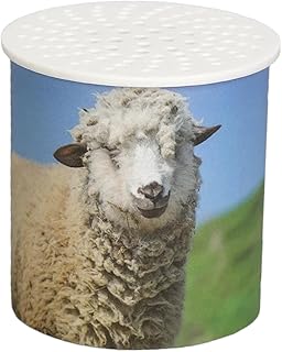 Baa Basics: Understanding The Unique Sound Of Sheep | SoundCy