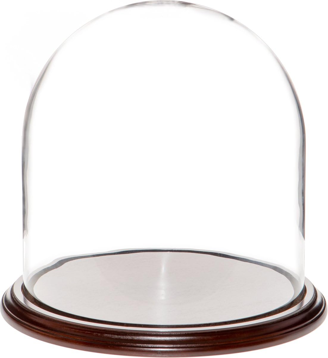 Amazon.com: Plymor 11.75" x 12" Glass Display Dome Cloche (Dark ...