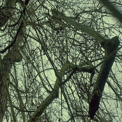 melodicals1 absent light de jamesgreene89 no Amazon Music Unlimited