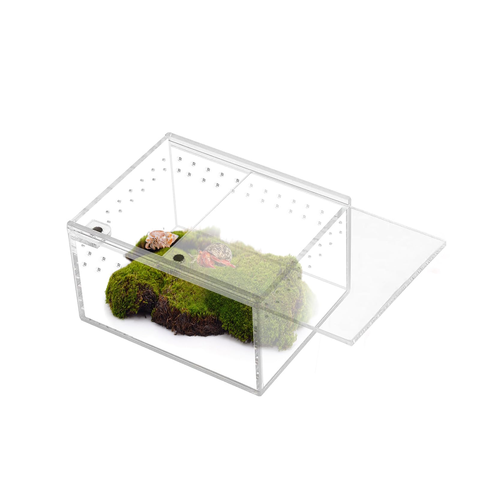 Snapklik.com : Magnetic Acrylic Jumping Spider Enclosure Clear Reptile ...