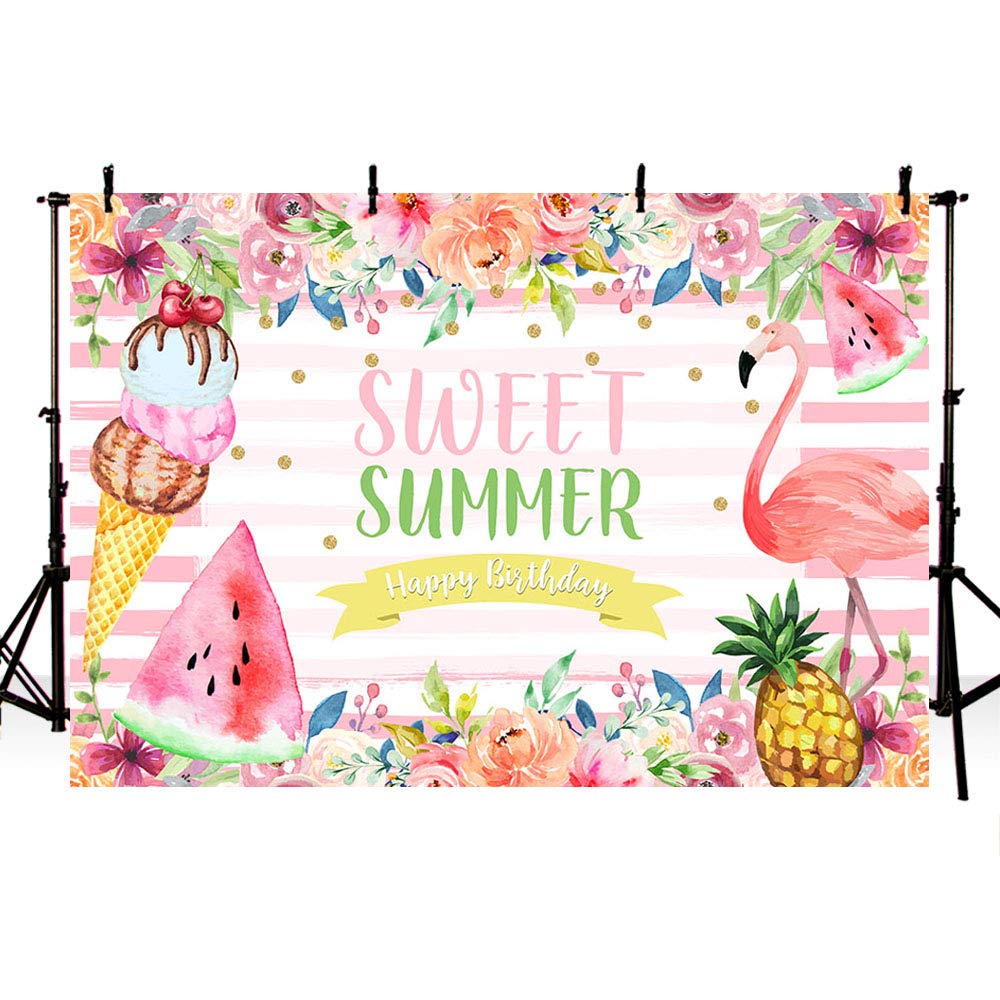 Amazon.com : MEHOFOTO Sweet Summer Girl Birthday Photo Studio ...