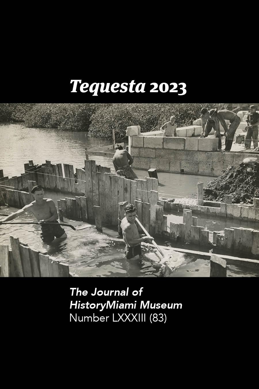 Amazon.com: Tequesta: The Journal of HistoryMiami Museum eBook : George ...