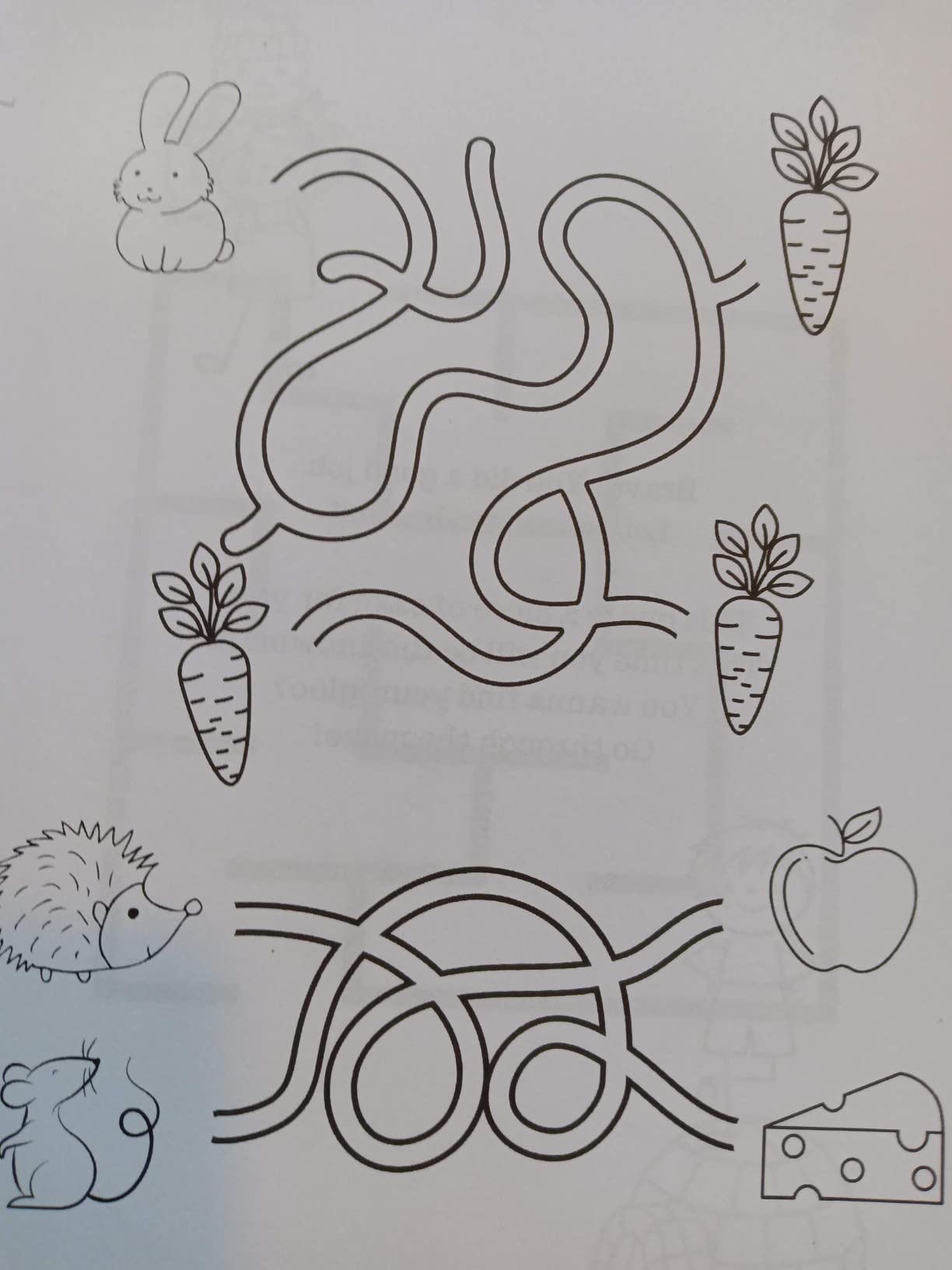 Amazon.com: The Little Artist: First Drawing and Coloring Skills ...