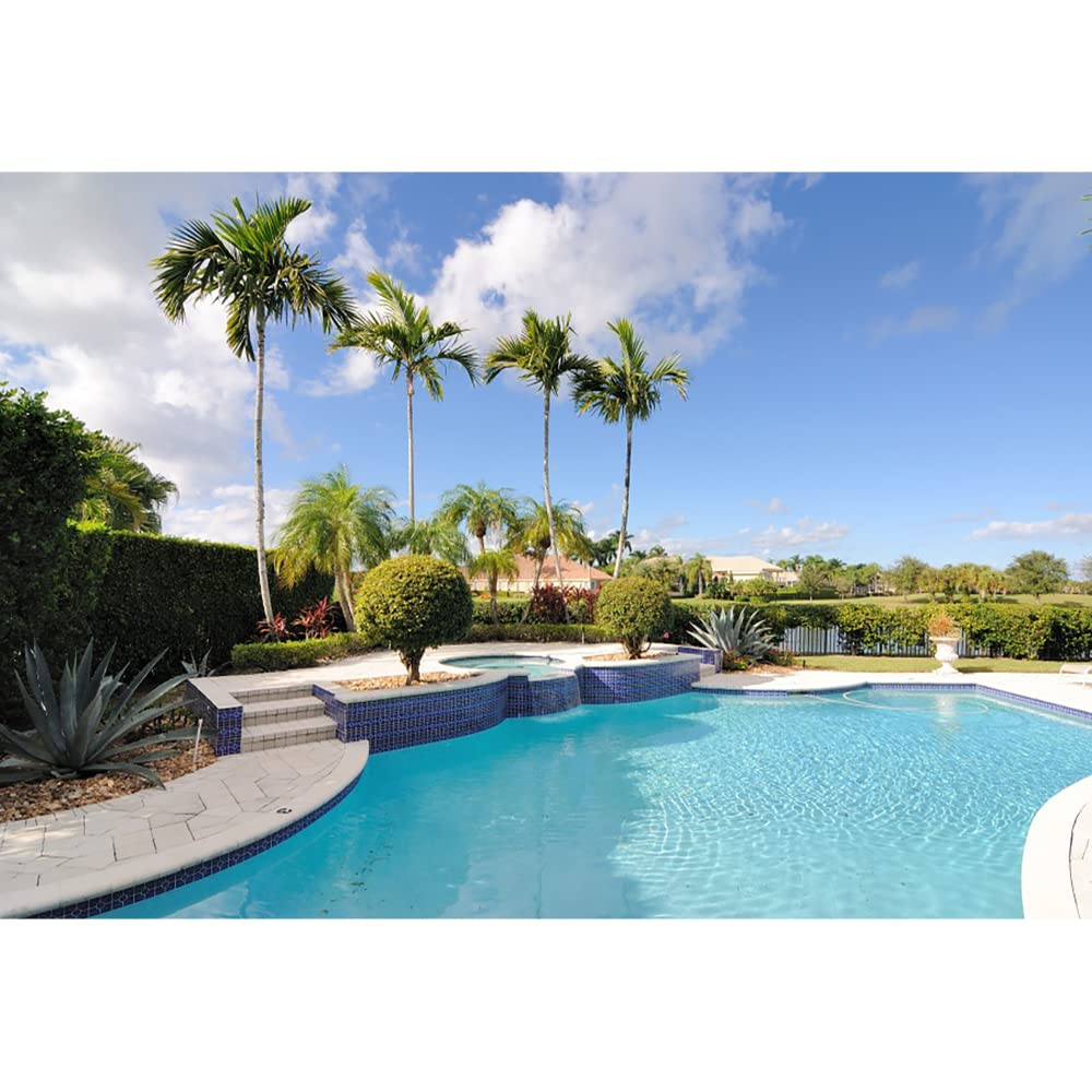 Pool Studio Backdrops Photography Backdrops | Paper Vs Cotton Muslin