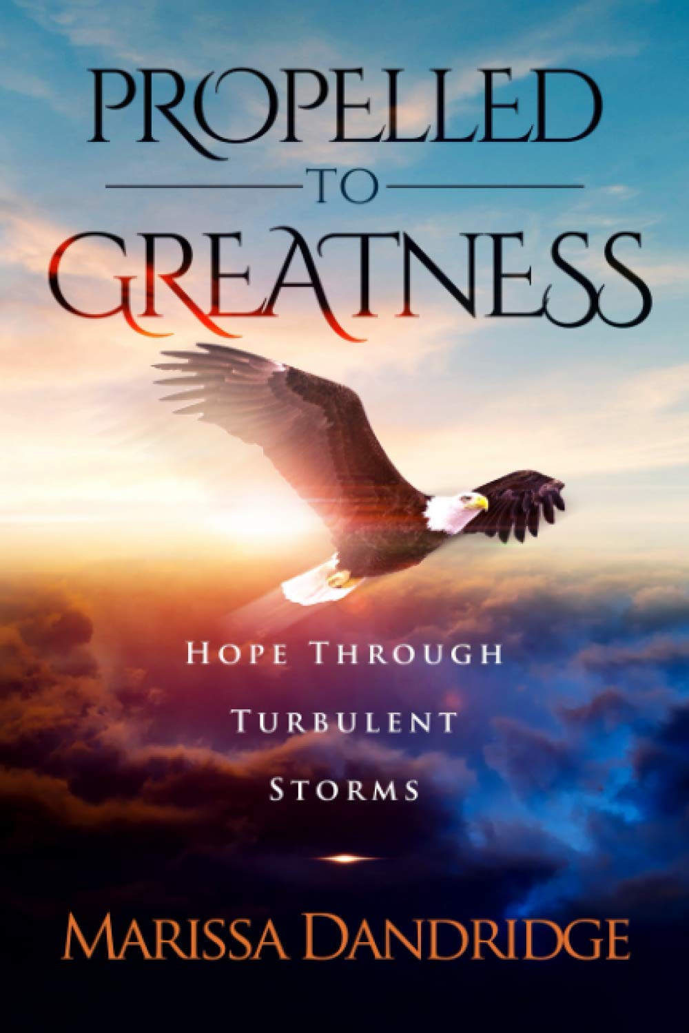 Propelled To Greatness: Hope Through Turbulent Storms: Dandridge ...