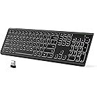 Amazon.com: New and Improved: EZSee by DC - Large Print Computer ...