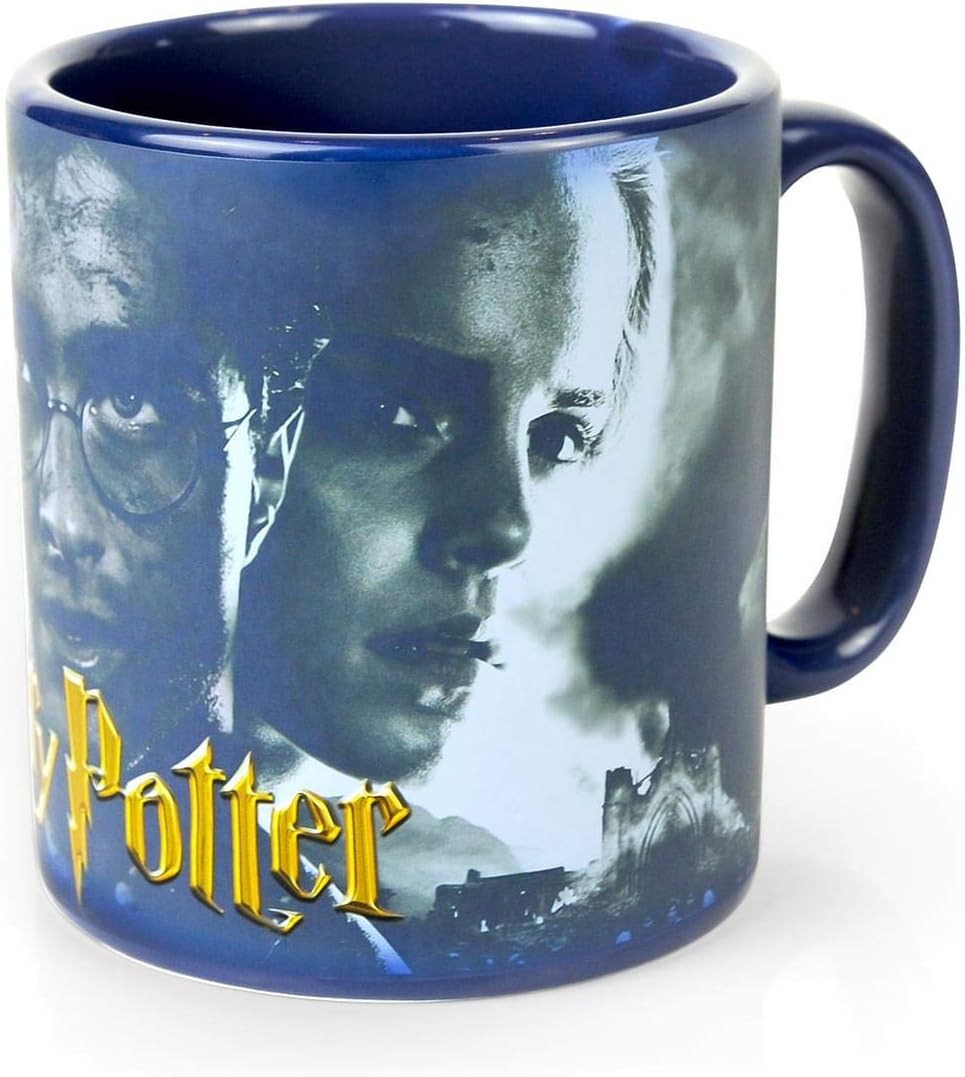 Amazon.com: Morphing Mugs Hogwarts Legacy Official Artwork – Wizarding ...