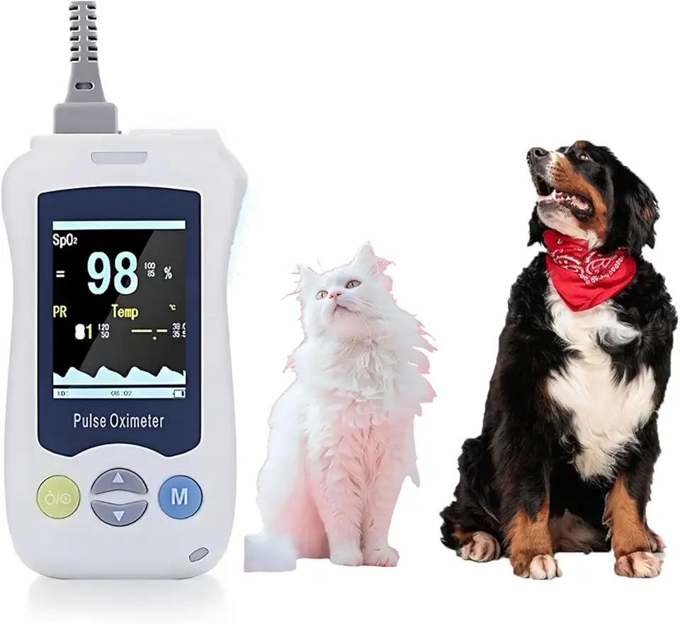 Using A Pulse Oximeter For Dogs: Common Questions Answered | PetShun