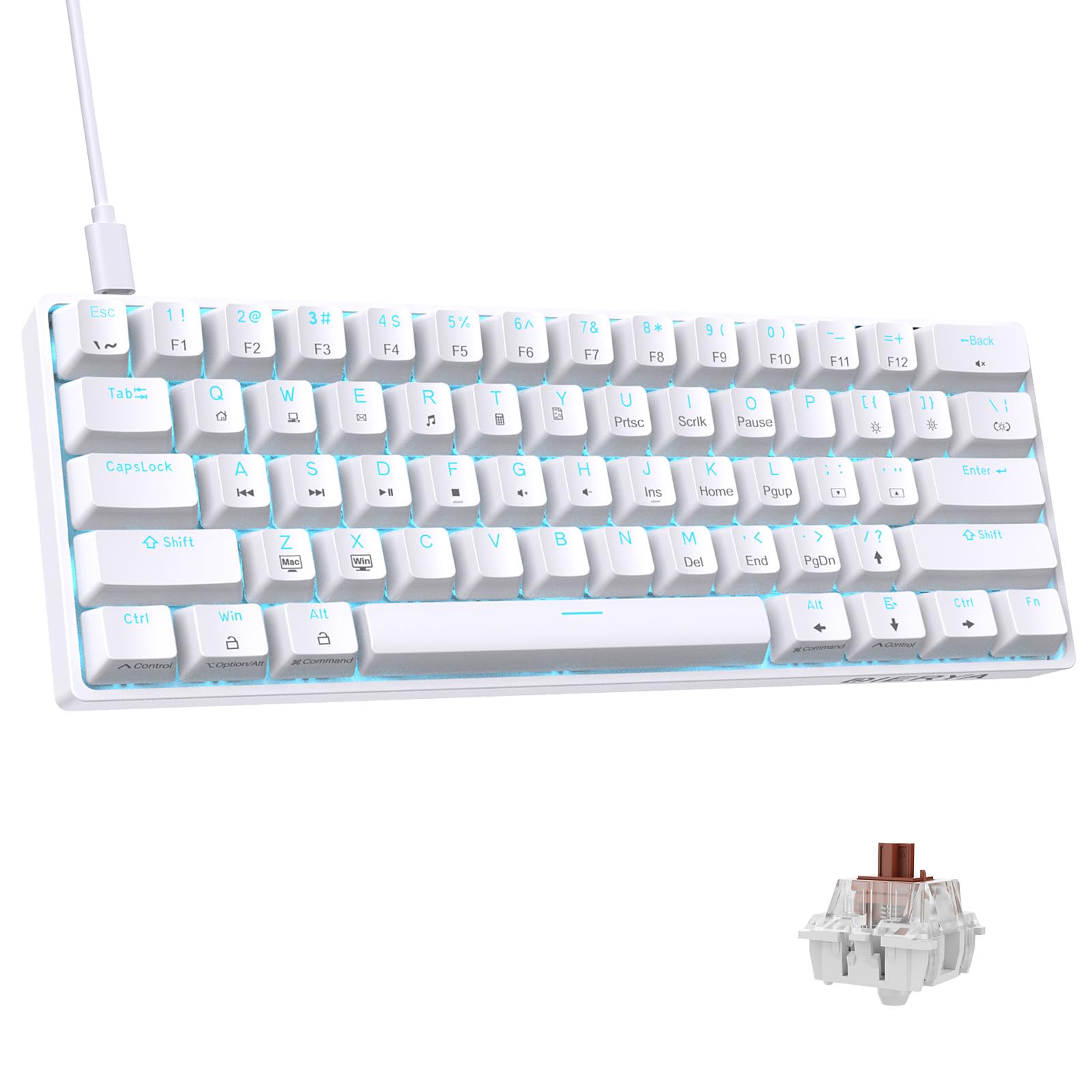 Snapklik.com : DIERYA DK61SE 60% Mechanical Gaming Keyboard, 61 Keys ...