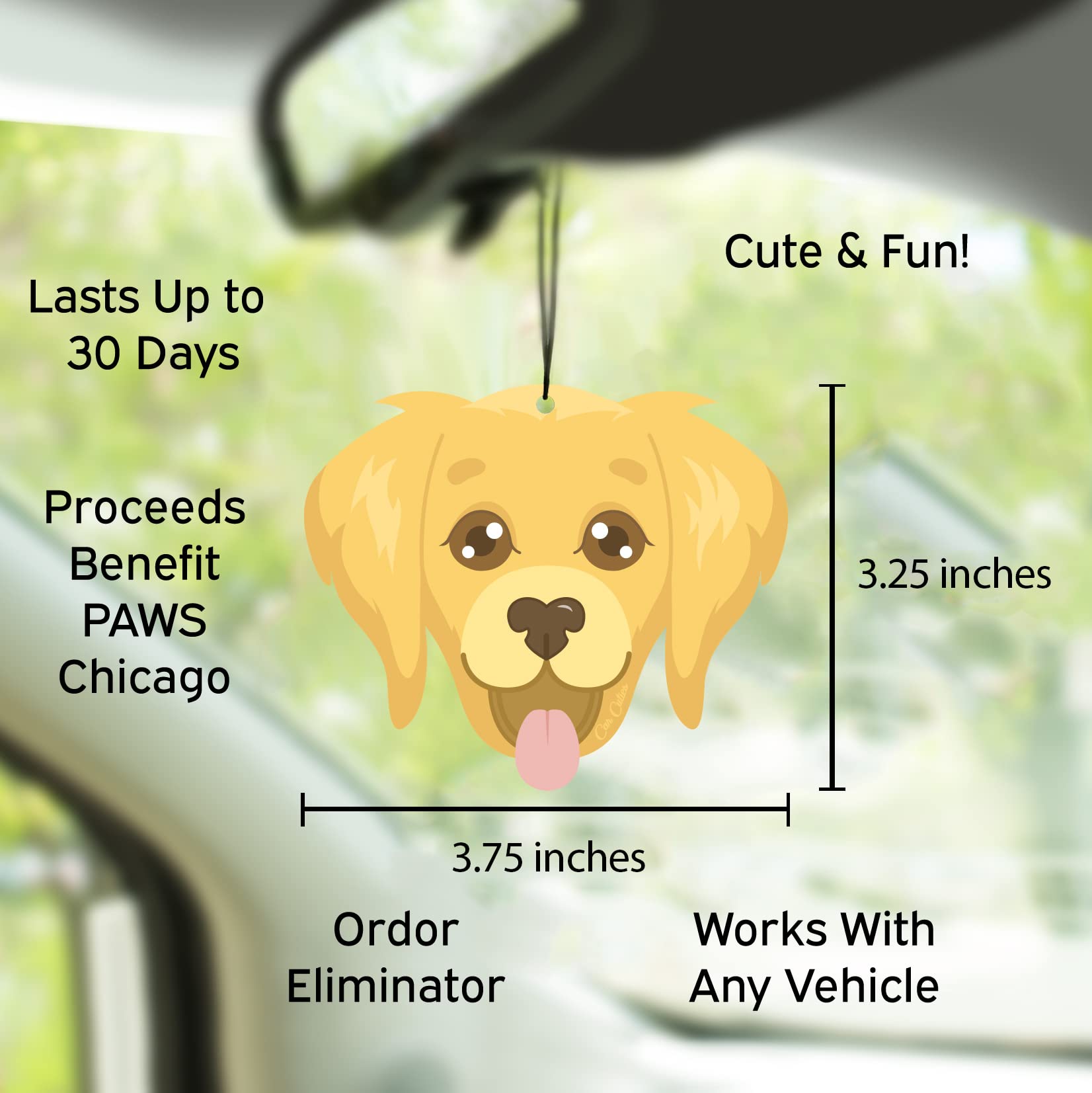 Cuanto Cuesta Adoptar Un Perro De Paws Chicago