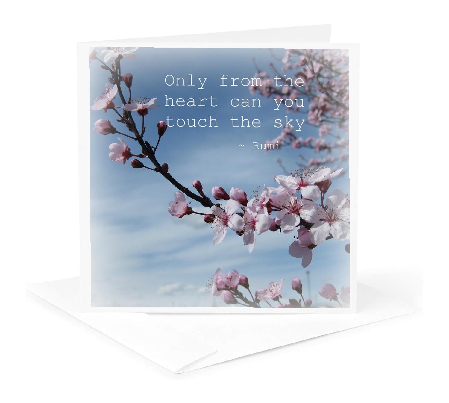 Cute Cherry Blossom Quotes