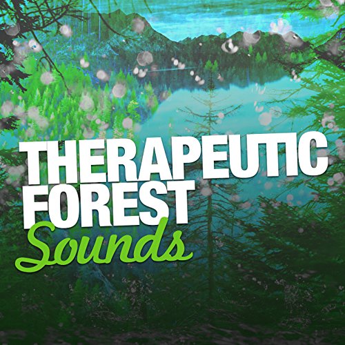 Play Therapeutic Forest Sounds by Nature Sounds Therapy on Amazon Music