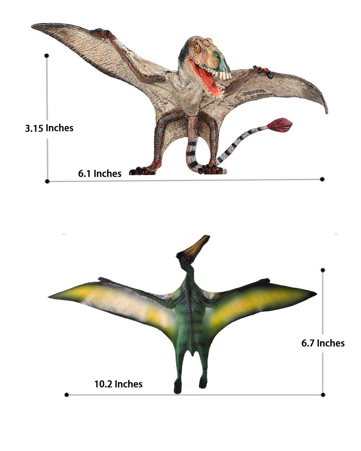 Pteranodon Size Comparison