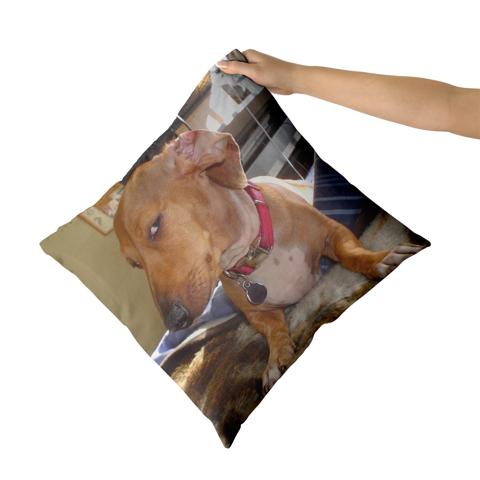 Suspicious Dog Face Suspicious Dog Blank Template Imgflip