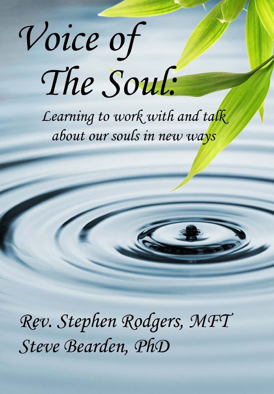 Voice of the Soul: Learning to work with and talk about our souls in ...