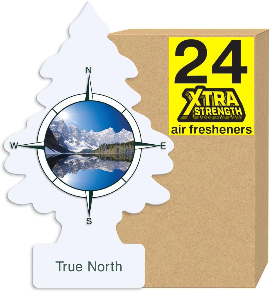 Amazon.com: Little Trees Air Fresheners, True North (Pack of 12 ...