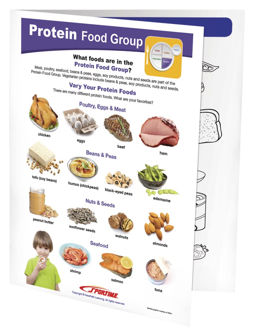 Amazon.com: Sportime Protein Food Group Visual Learning Guide, 4 Pages ...