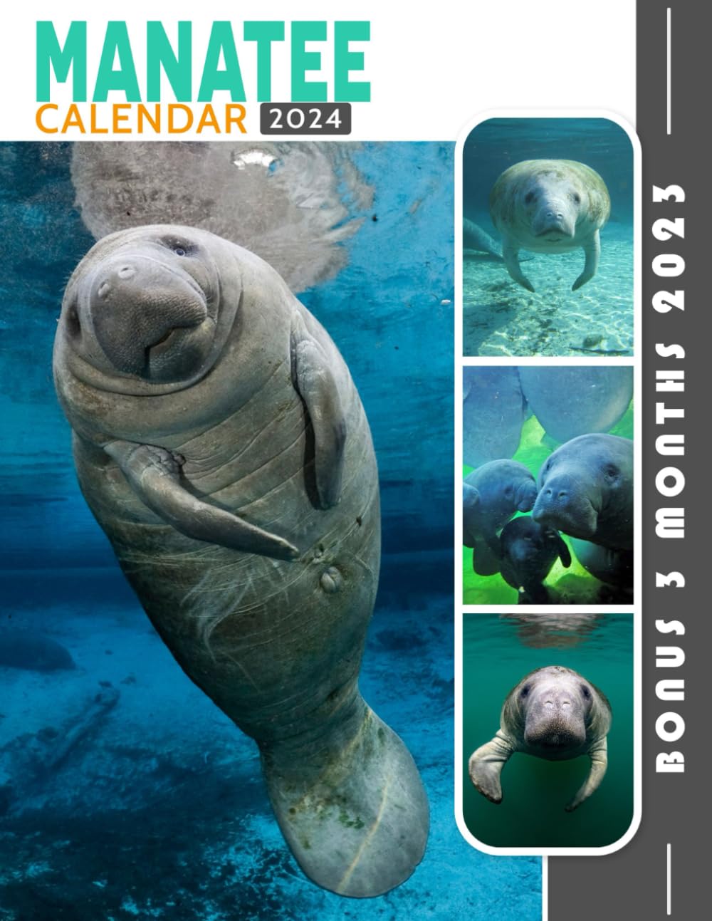 Manatee Calendar 2024 Jan 2024 To Dec 2024 Bonus 3 | Desertcart Kenya