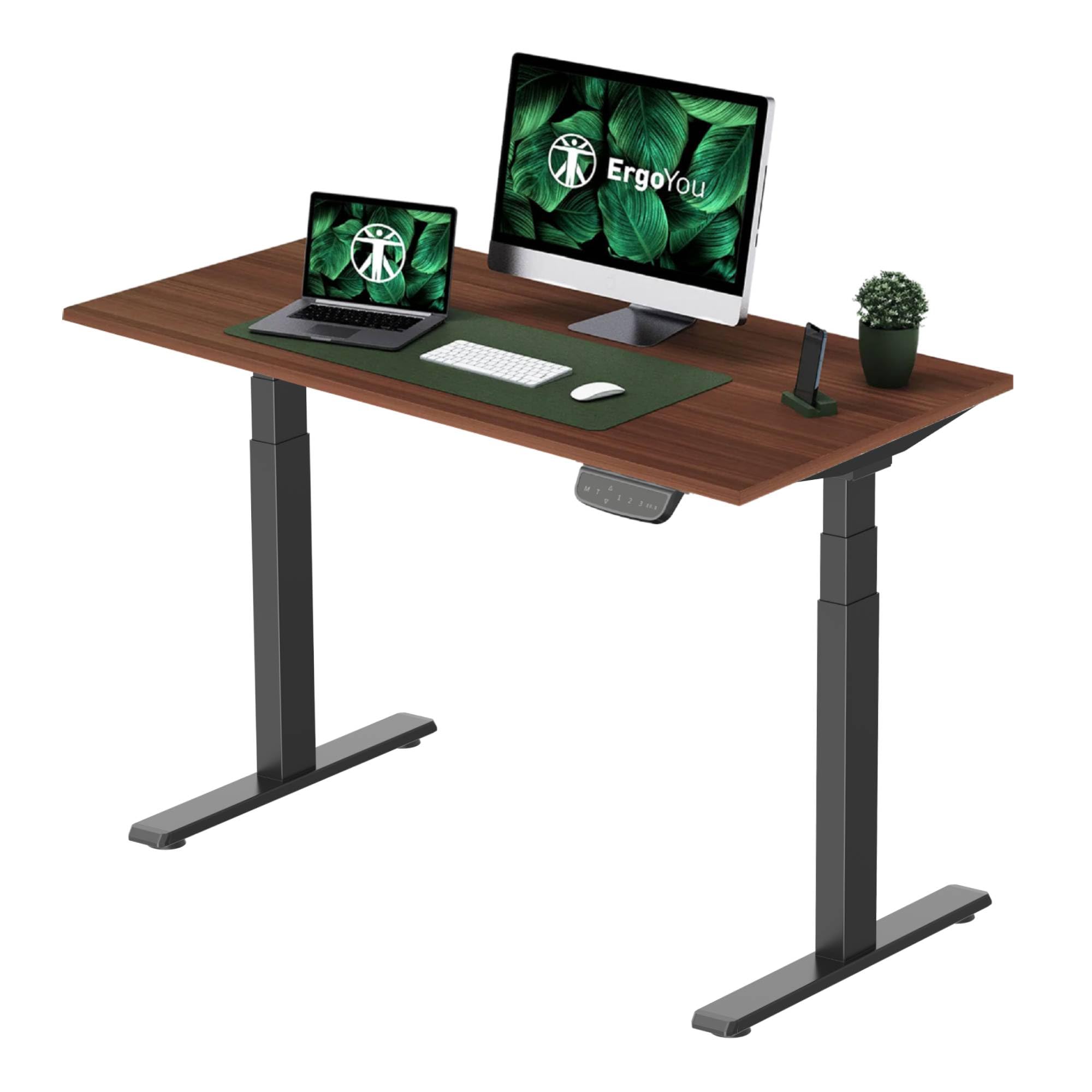 Ergoyou Electric Height Adjustable Standing Table Dual Motor 3 Stage ...