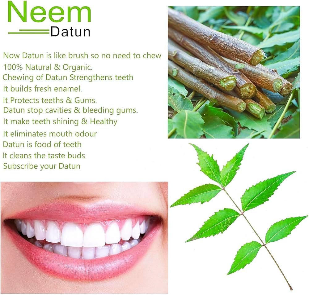 Escova Dental Natural Orgânica Neem Datun: Bastões de Neem para Higiene ...