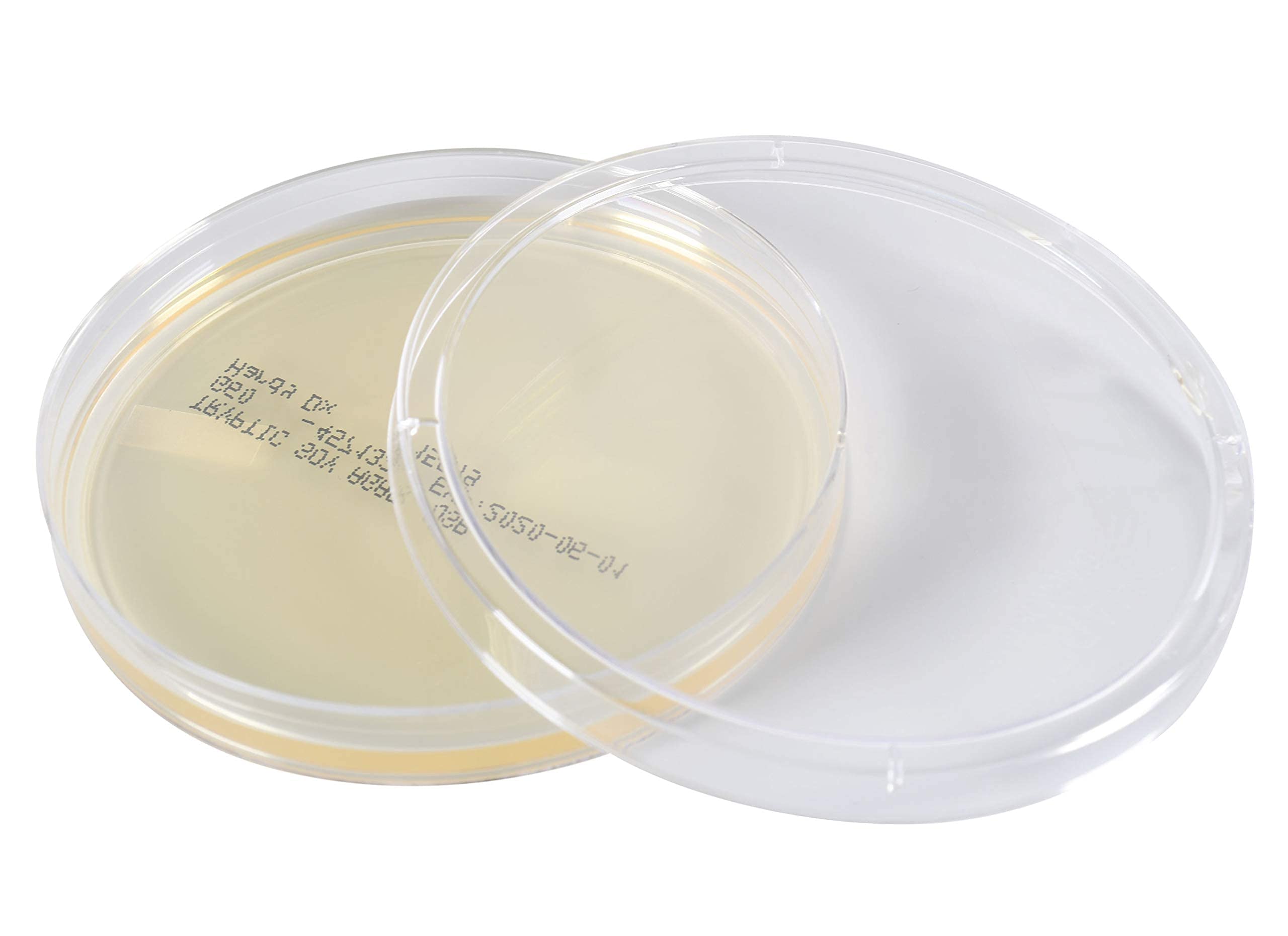 Buy Tryptic Soy Agar (TSA), USP, a General Growth Medium for ...