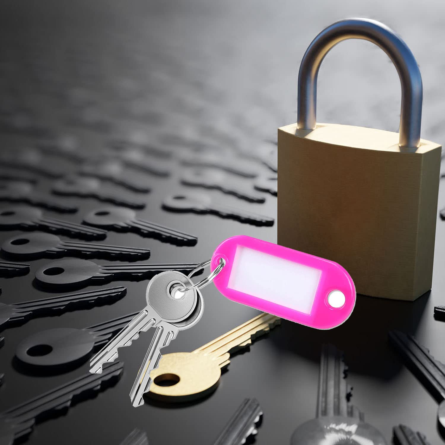 50 Pack Key Tags with Labels & Storage Box, 5 Color Key Fobs with Extra ...