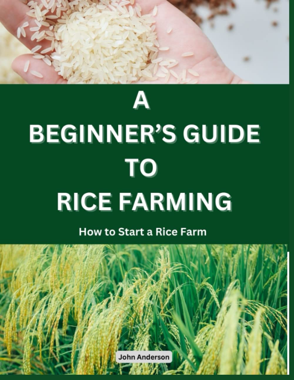 A Beginner’s Guide to Rice Farming: How to Start a Rice Farm, Step-by ...
