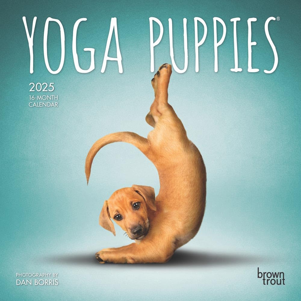 Yoga Dogs Together 2020 Wall Calendar January | 2018 | Plato Calendars
