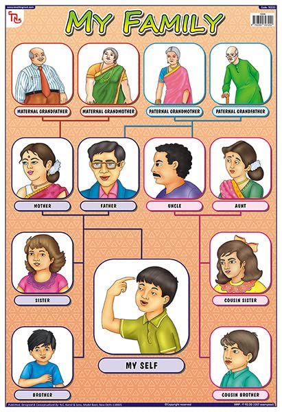 Buy TEACHINGNEST My Family Chart | Laminated 33x48 cm (13x19 inch ...