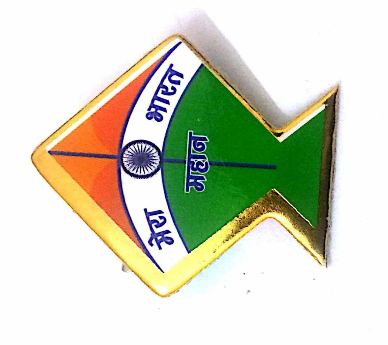 Indian Flag Kite