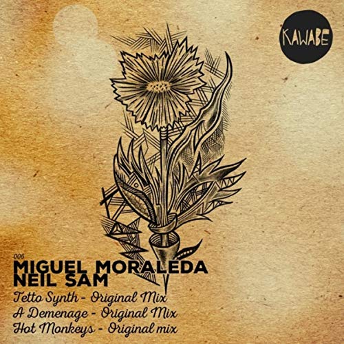 Play Hot Monkeys by Miguel Moraleda & Neil Sam on Amazon Music
