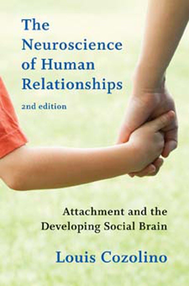 The Neuroscience of Human Relationships: Attachment and the Developing ...