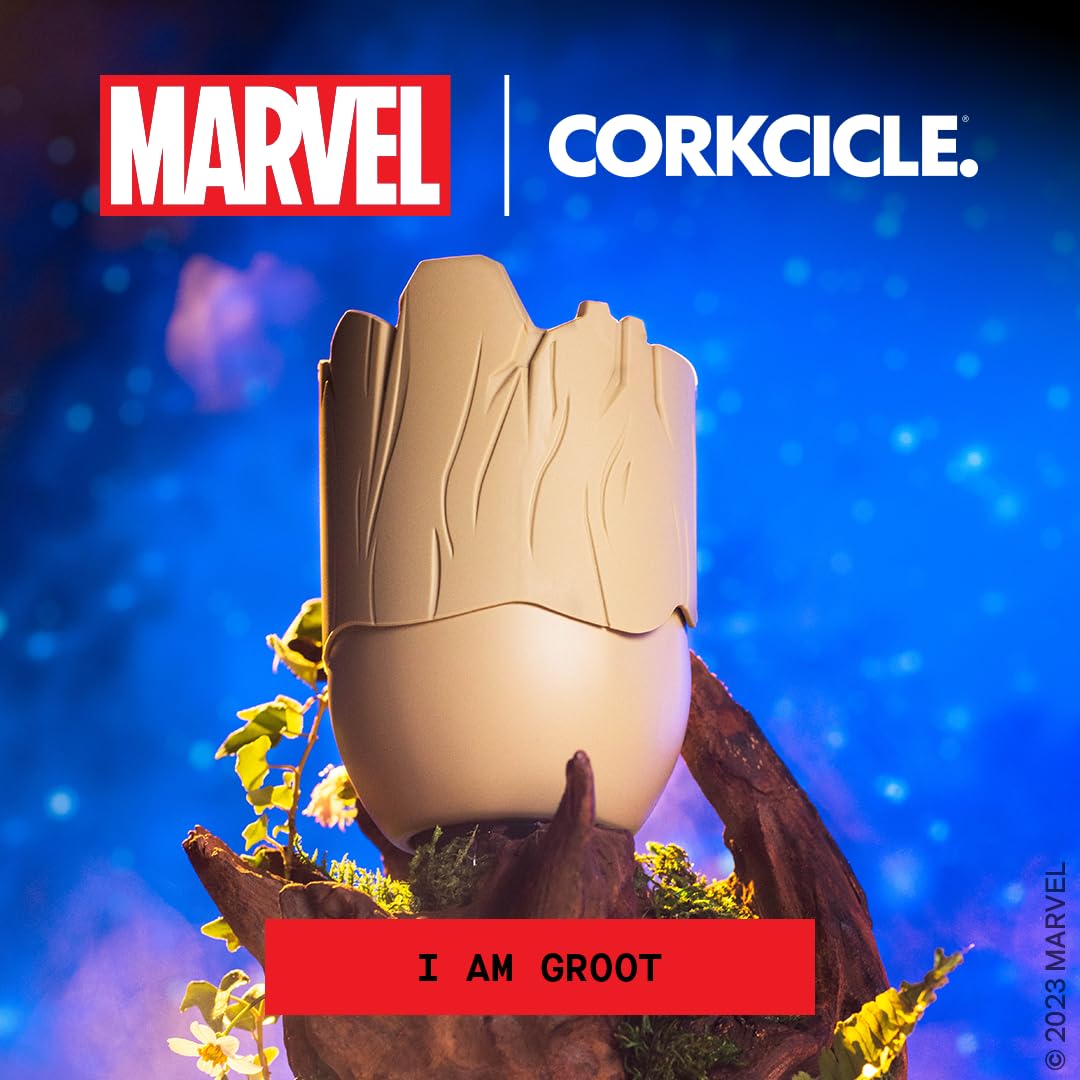 Snapklik.com : Stemless Insulated Wine Glass Tumbler - Keeps Beverages ...