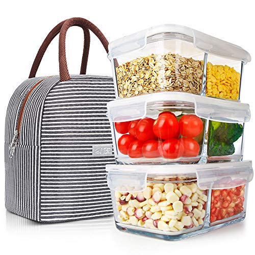 Find The Best Portion Control Lunch Boxes Reviews & Comparison - Katynel