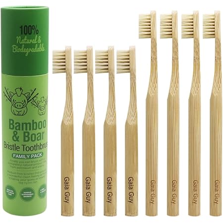 Amazon.com : Gaia Guy Natural Bristle Bamboo Toothbrush (NO Nylon ...
