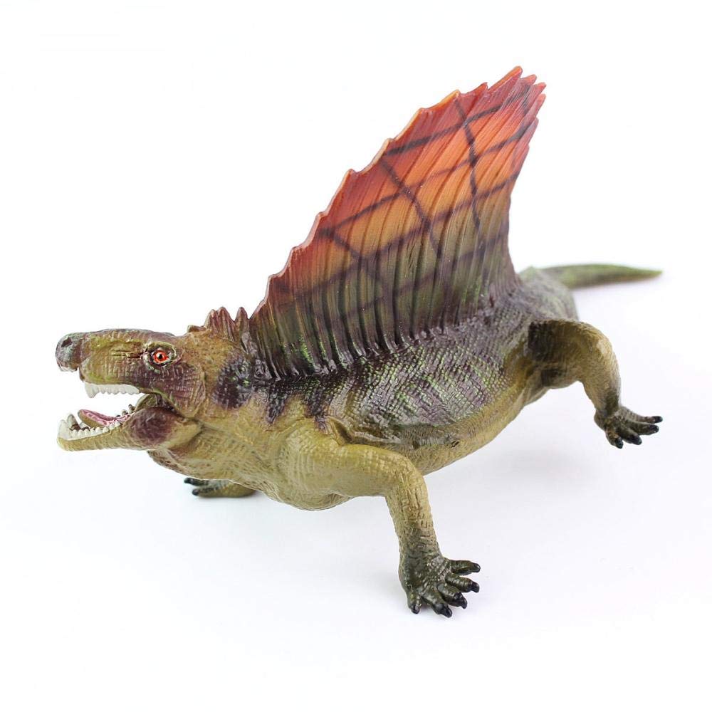 Heterodontosaurus Teeth