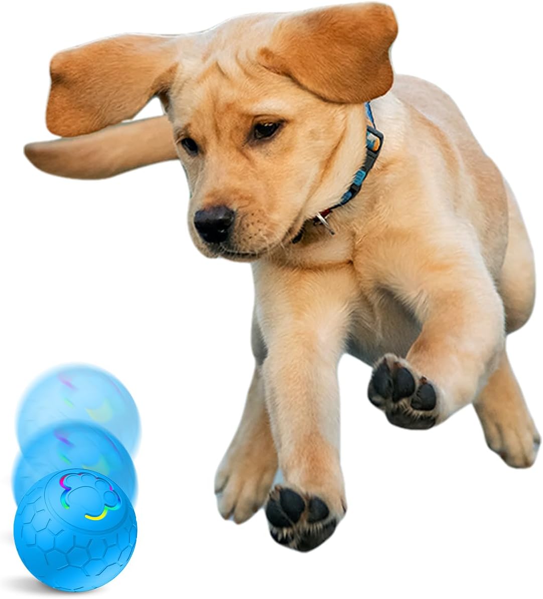 Amazon.com : Smart Interactive Dog Toys Ball, Auto Moving Bouncing ...