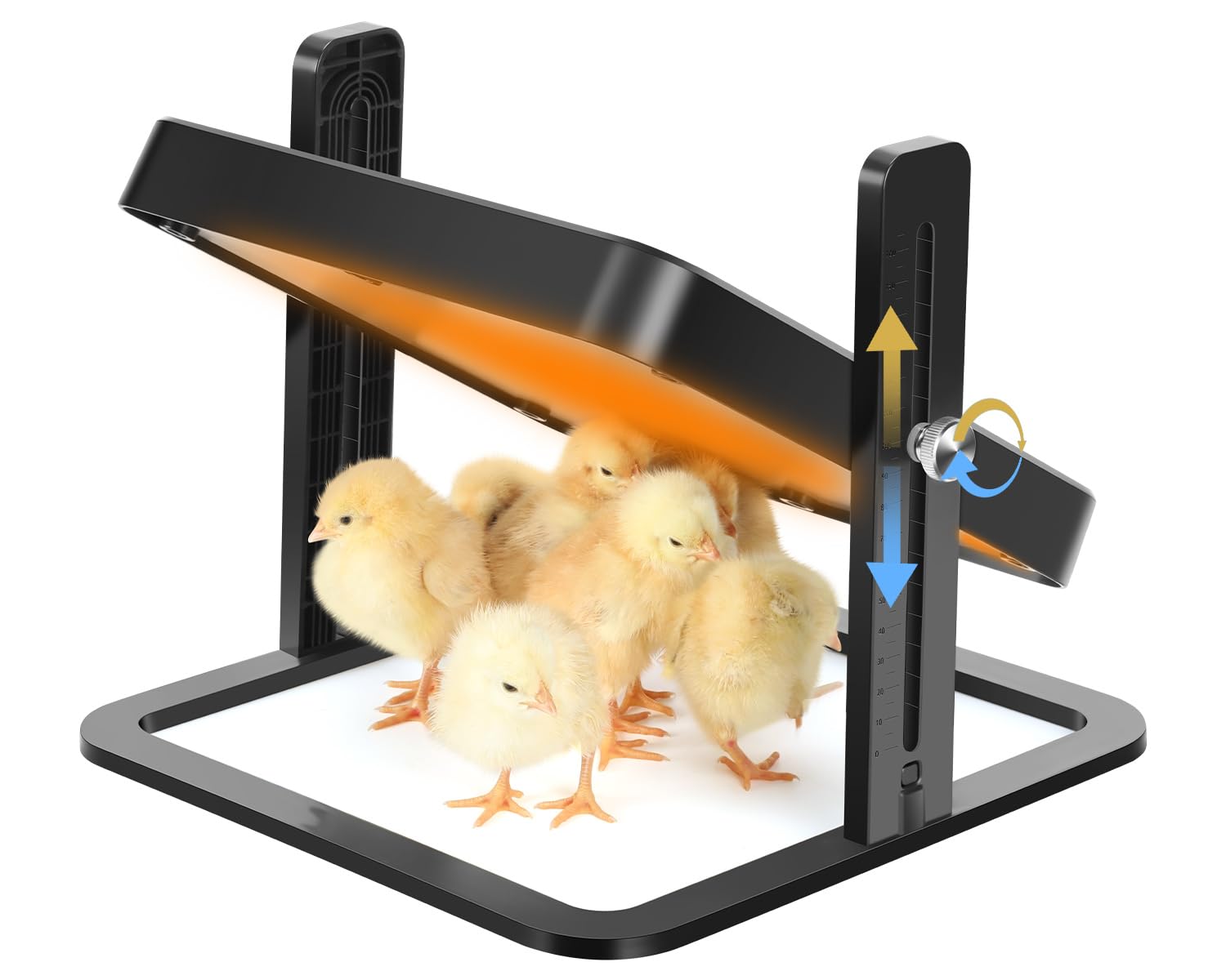 Snapklik.com : Chick Brooder Plate, Adjustable Height Temp Brooder ...