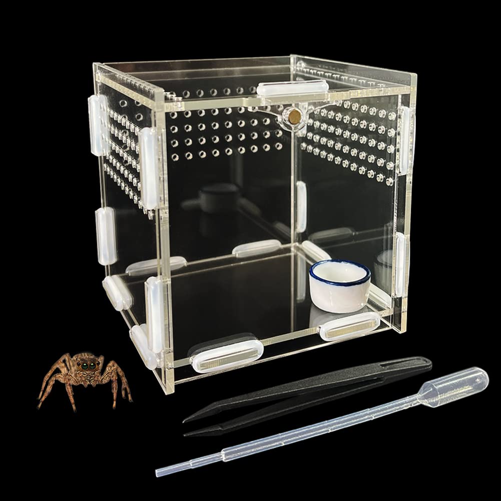 Amazon.com : GKPONSX Magnetic Acrylic Spider Terrarium, Transparent ...