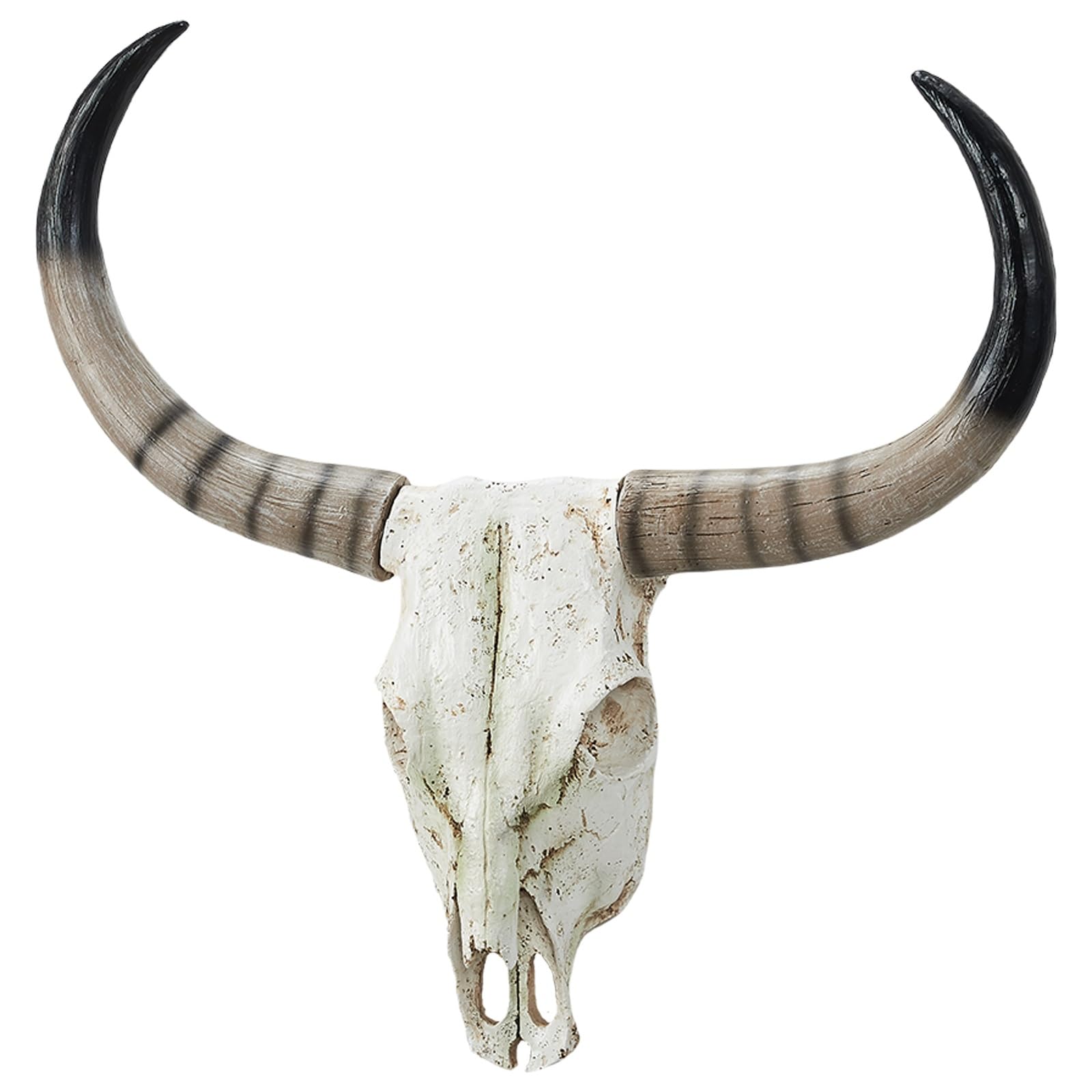 Amazon.com: Longhorn Wall Decor, Cow Skull Wall Decor, 20-Inch Longhorn ...