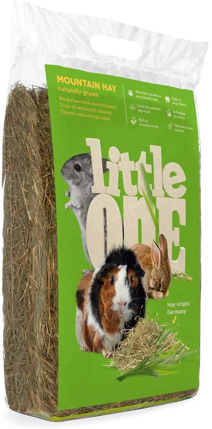 Buy PETS EMPIRE Little One Mountain Meadow Hay, Natural Sun Dried Hays ...
