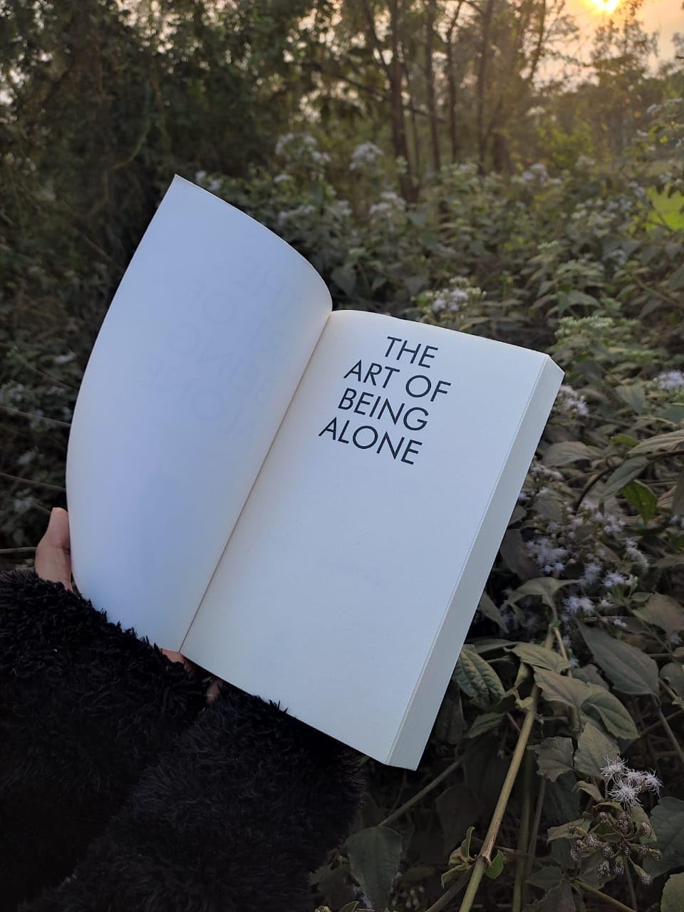 The Art of Being ALONE: Solitude Is My HOME, Loneliness Was My Cage ...