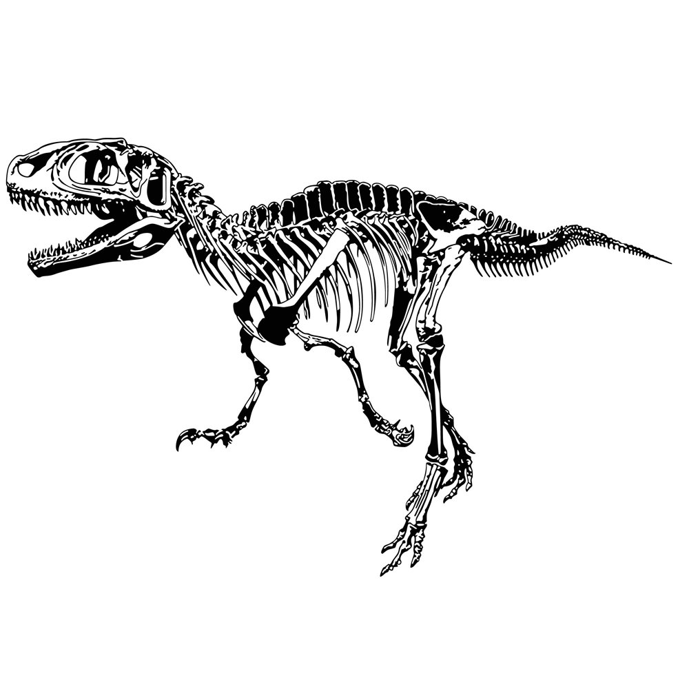 Dinosaur Skeleton Pattern | Free Patterns