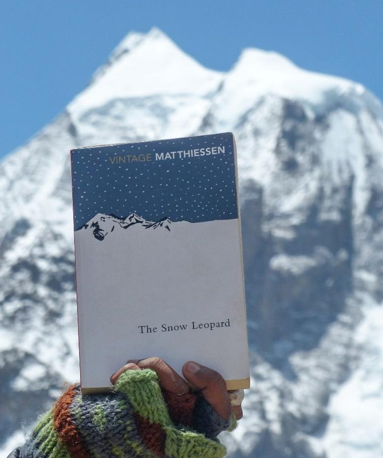 Buy The Snow Leopard Book Online at Low Prices in India | The Snow ...