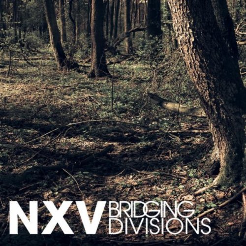 Amazon.com: Bridging Divisions : Nxv: Digital Music