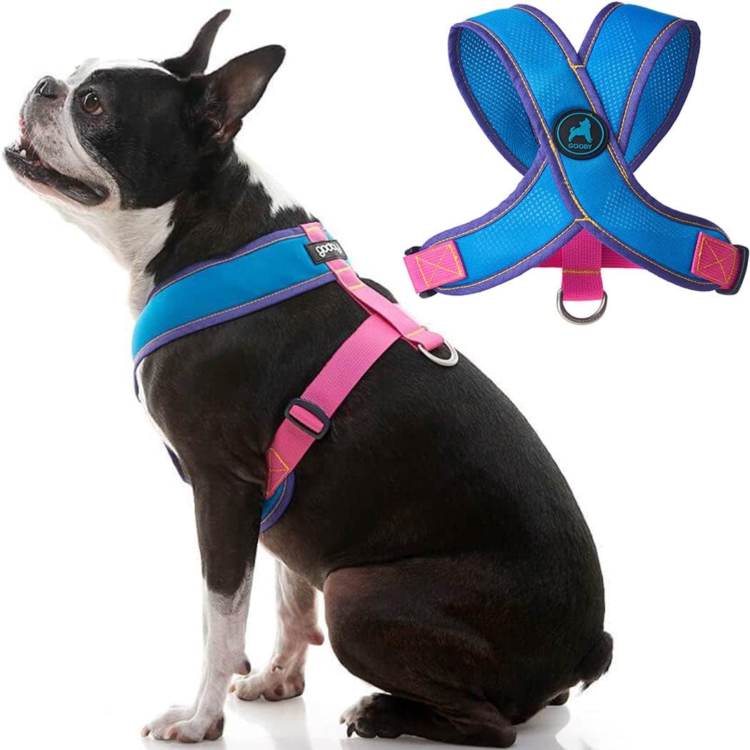 Amazon.com: Gooby Comfort X Head in Harness V2 - X-Large, Turquoise ...