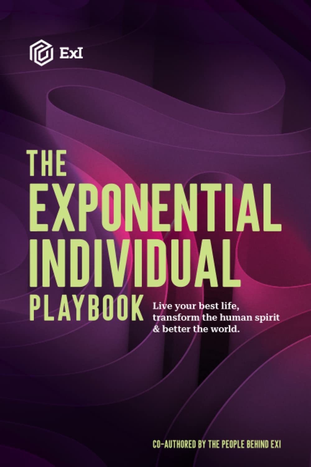 The Exponential Individual Playbook: Live Your Best Life, Transform the ...