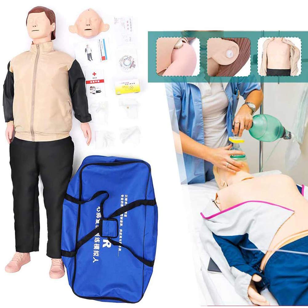 Buy WLKQ CPR First Aid Training Manikin - Cardio Pulmonary ...
