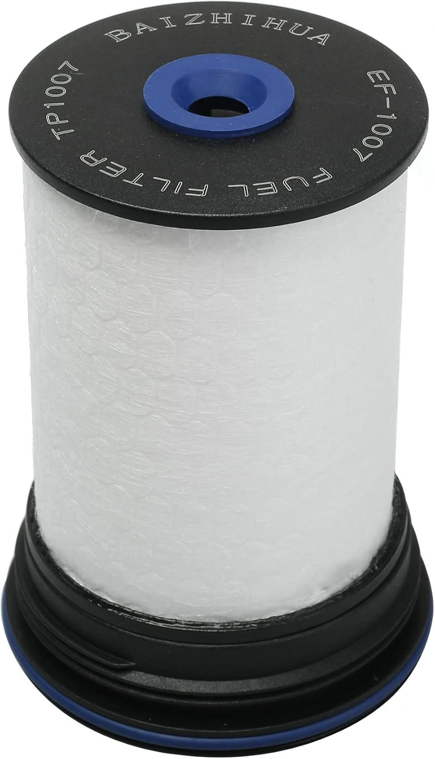 2 Pcs BAIZHIHUA TP1007 Fuel Filter Kit Compatible with 2016-2020 ...